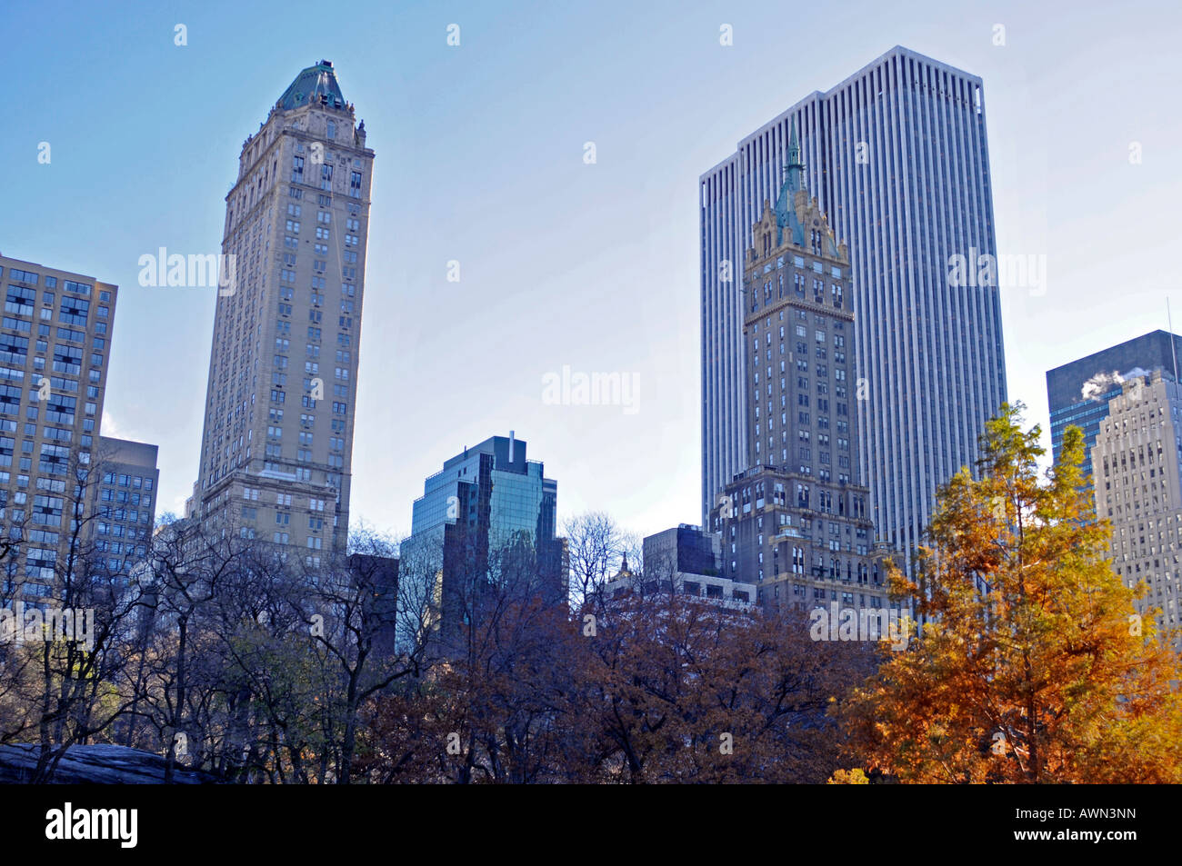View of the skyline, Central Park, Manhattan, New York, USA Stock Photo ...