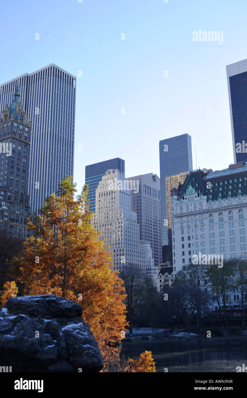 View of the skyline, Central Park, Manhattan, New York, USA Stock Photo ...