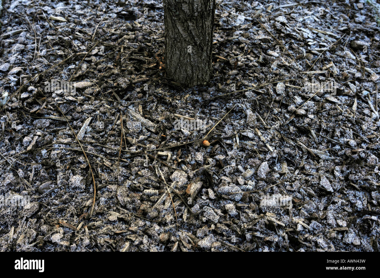 Iced ground hi-res stock photography and images - Alamy