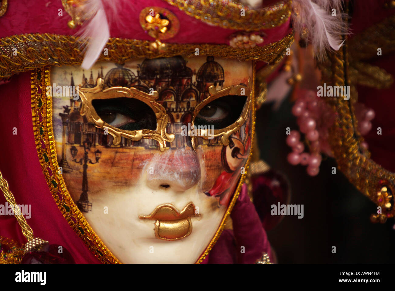 Masked person during Carnival in Venice, Italy, Europe Stock Photo - Alamy