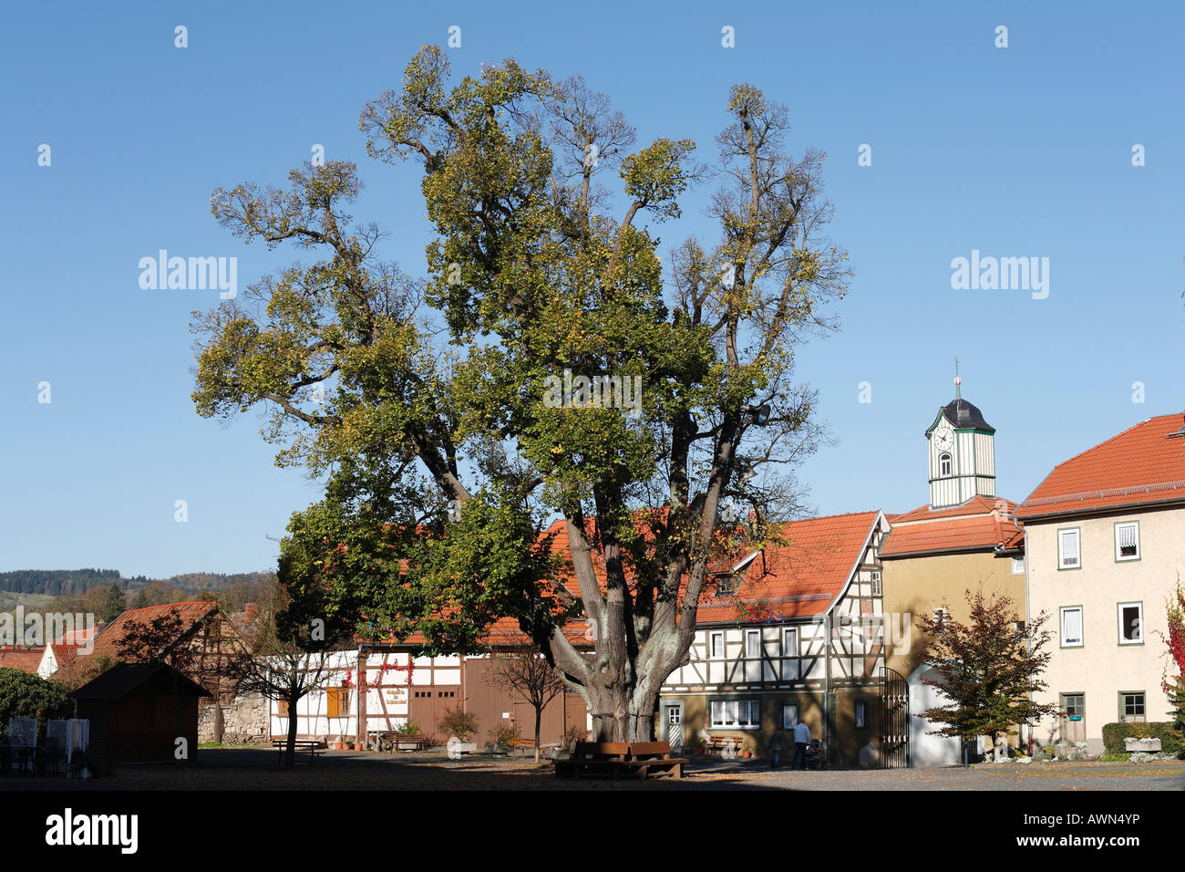 Rhoen turingia hi-res stock photography and images - Alamy