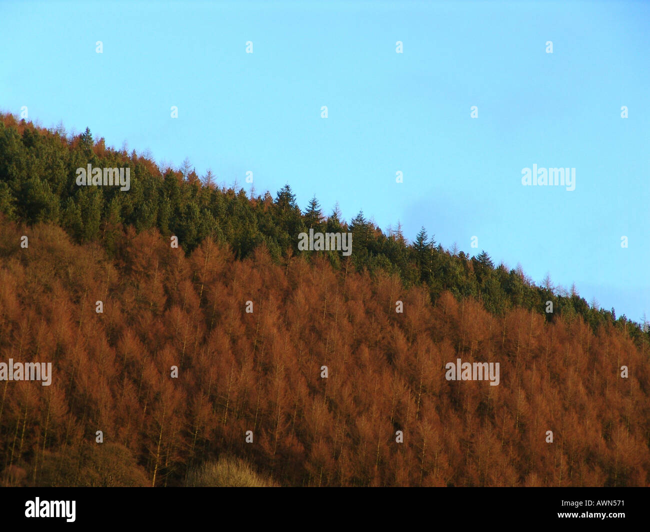 Crosskeys wales hi-res stock photography and images - Alamy