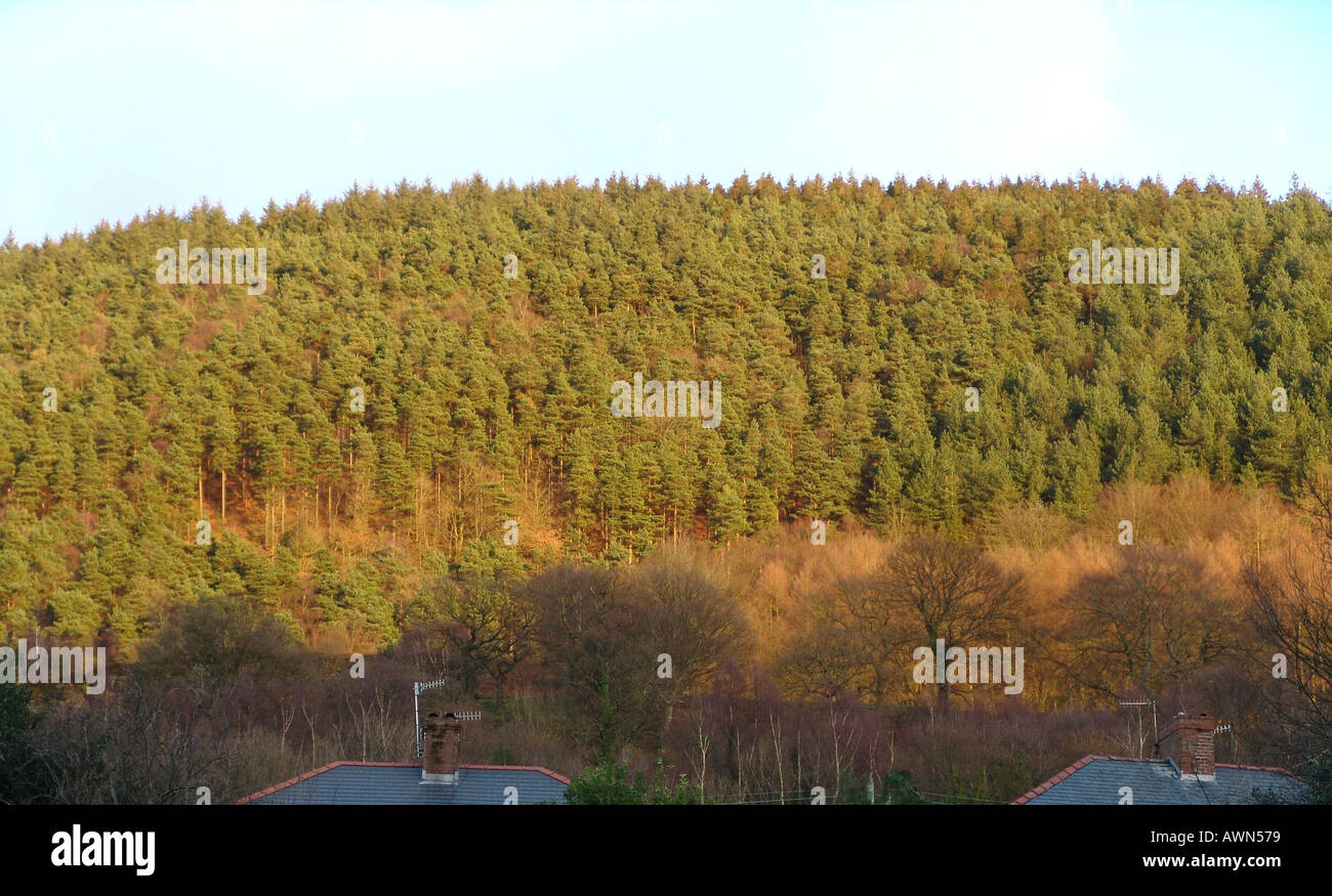 Crosskeys wales hi-res stock photography and images - Alamy