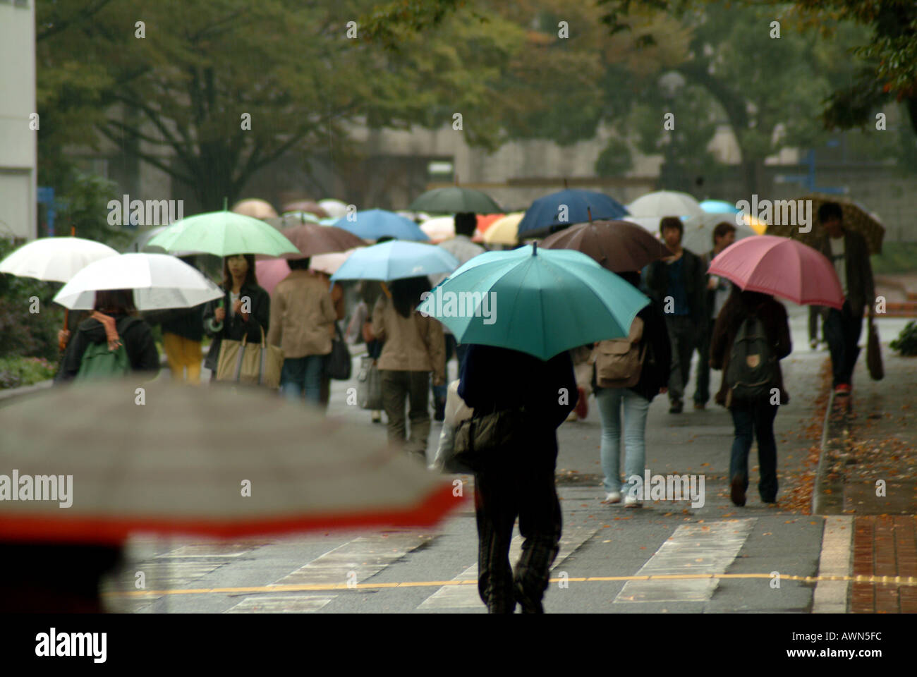 Osaka University of Arts students in the rain Japan Stock Photo - Alamy