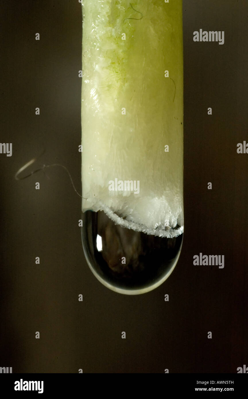 Cave pollution hi-res stock photography and images - Alamy