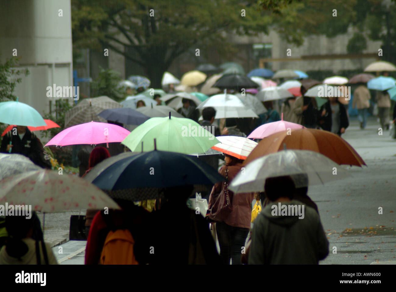 Osaka University of Arts students in the rain Japan Stock Photo - Alamy