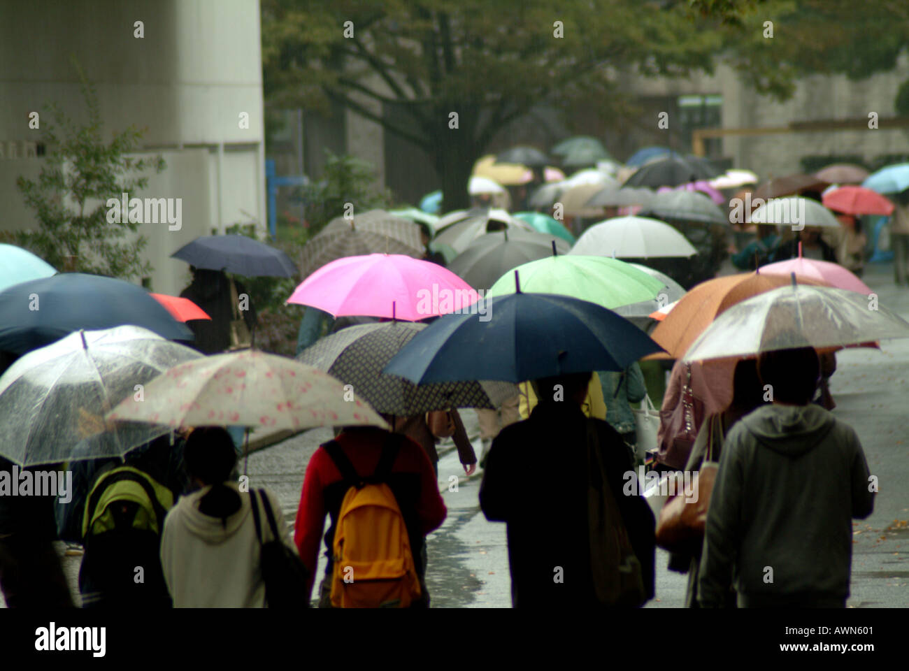 Osaka University of Arts students in the rain Japan Stock Photo - Alamy