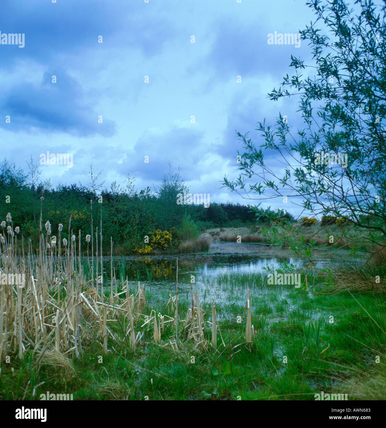 Lanchester durham hi-res stock photography and images - Alamy
