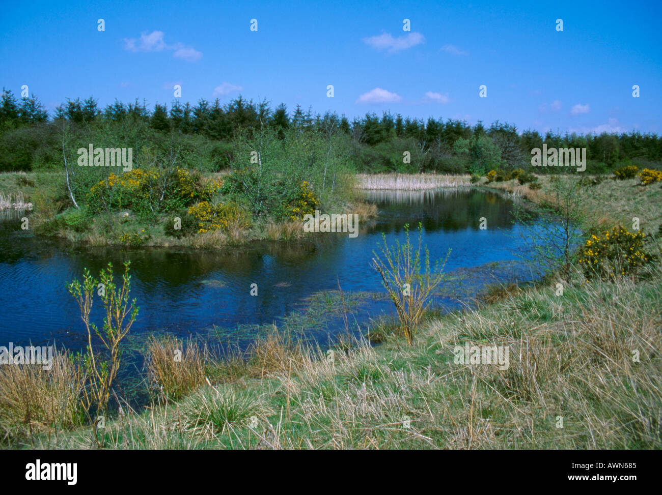 Lanchester durham hi-res stock photography and images - Alamy