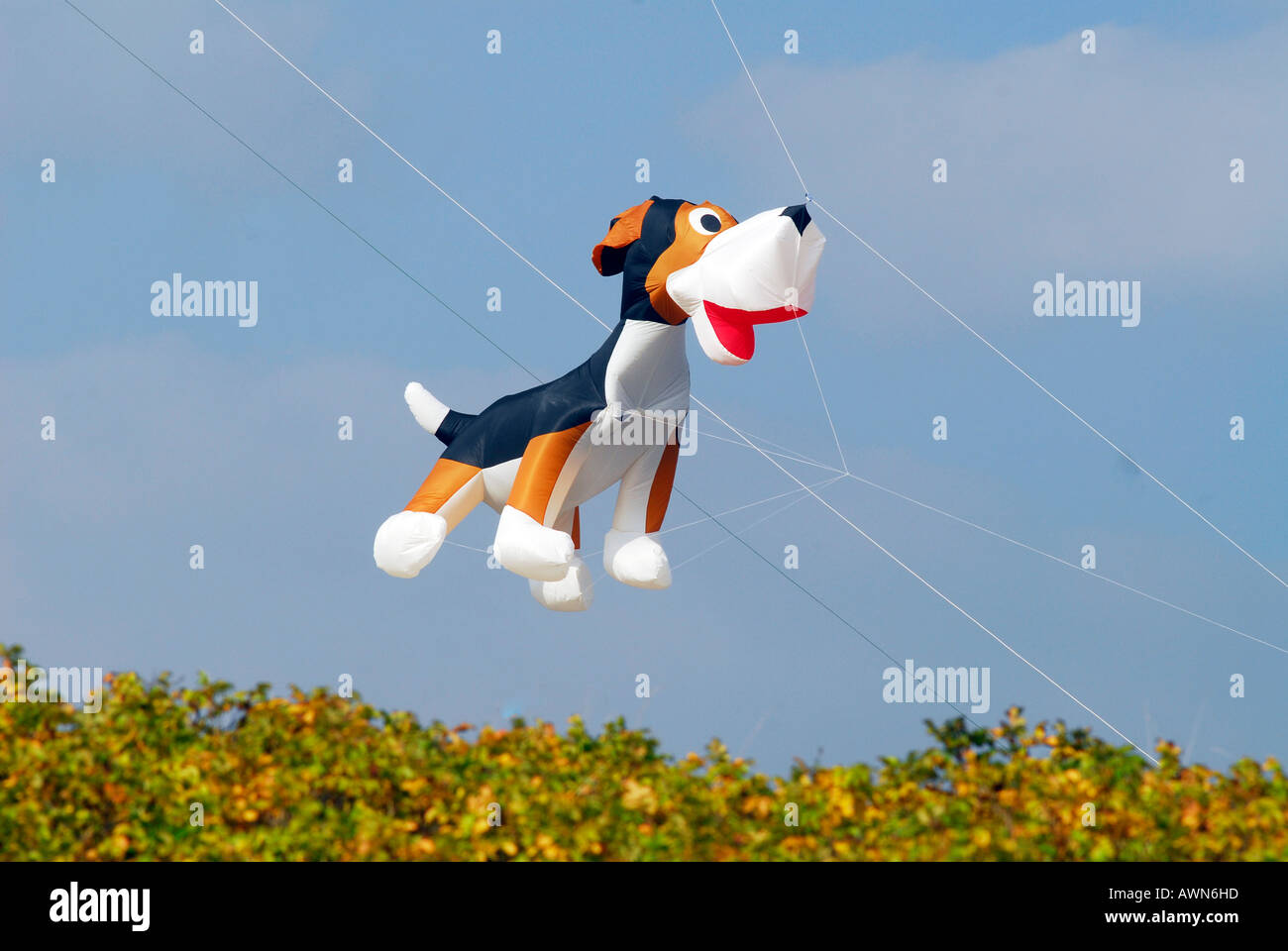 Hound dog shaped kite Stock Photo - Alamy