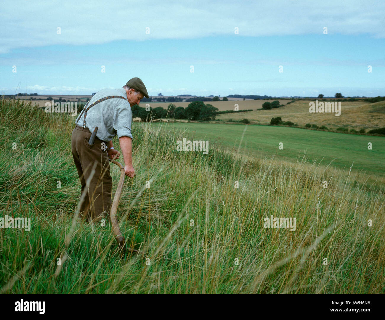 Cutting grass scythe hi-res stock photography and images - Alamy