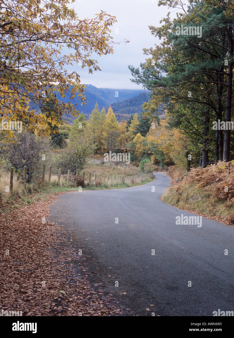 Autumn in the Lake District Stock Photo - Alamy