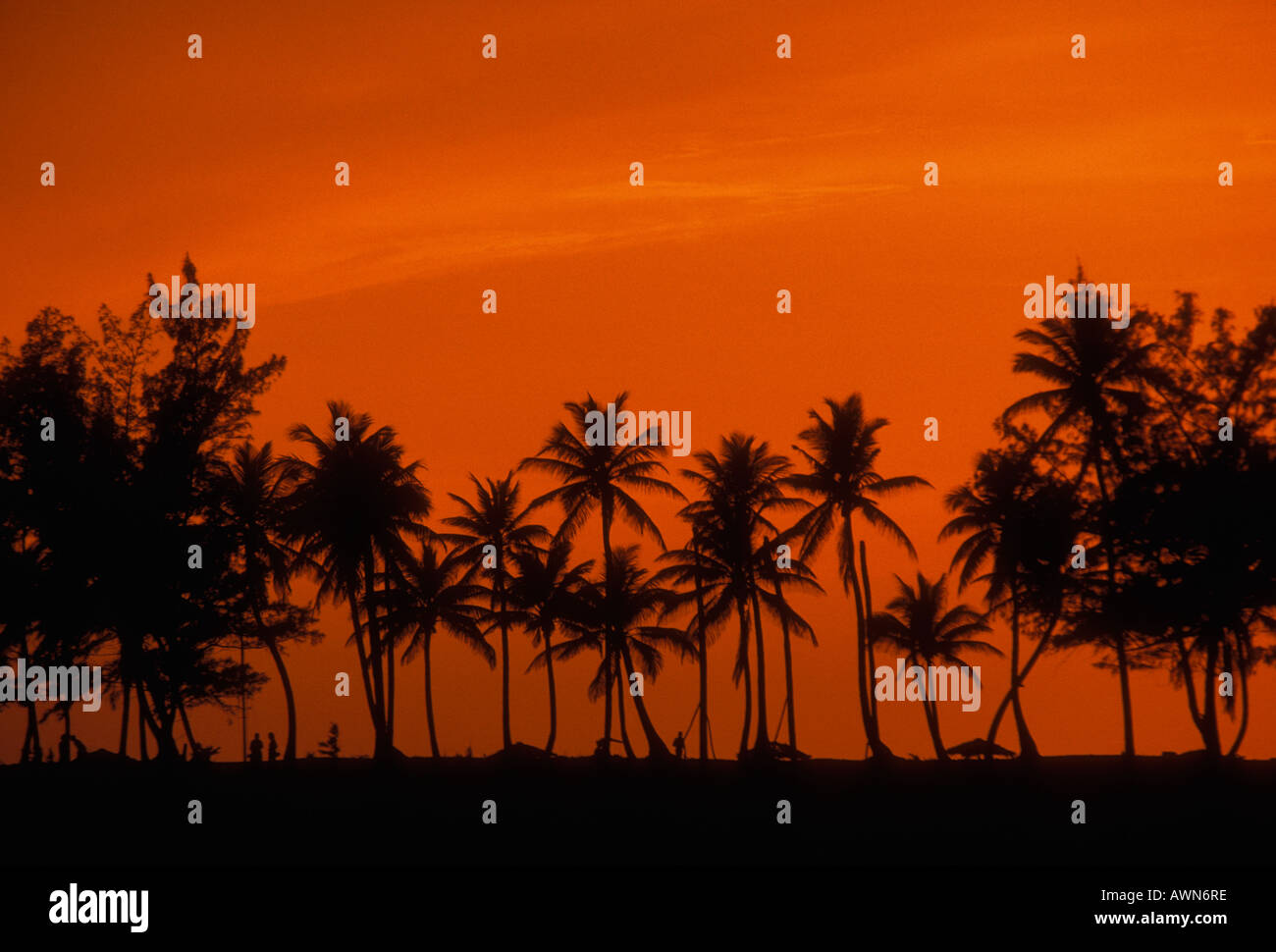 sunset, Paradise Island, Bahamas, West Indies Stock Photo - Alamy