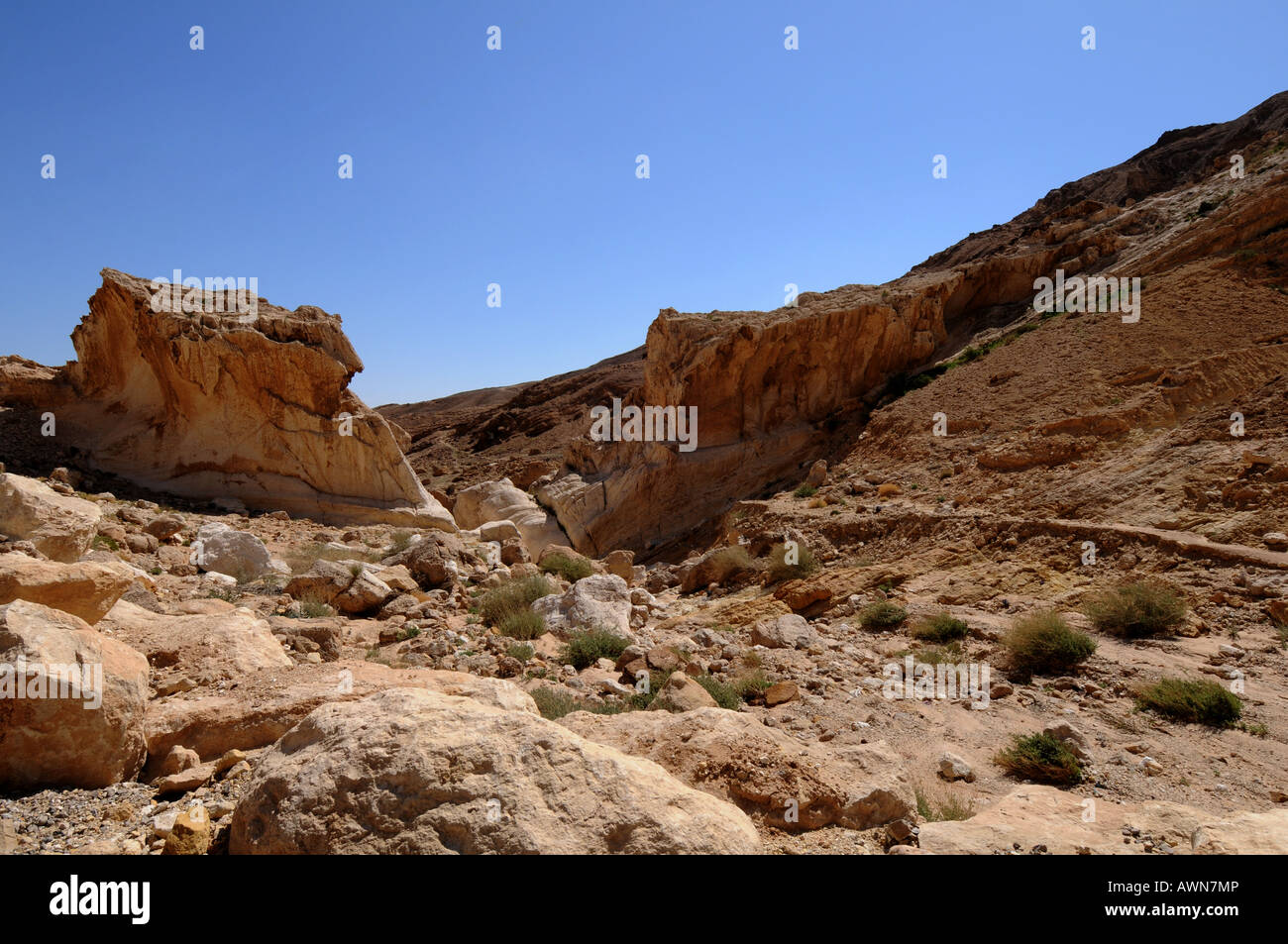 negev desert Israel Stock Photo - Alamy