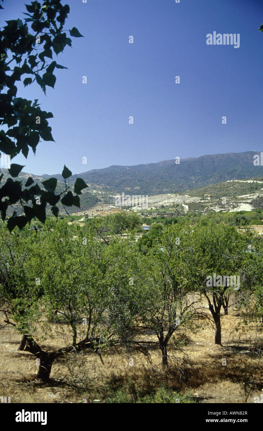 View of Mount Olympus. Hills and trees Stock Photo - Alamy