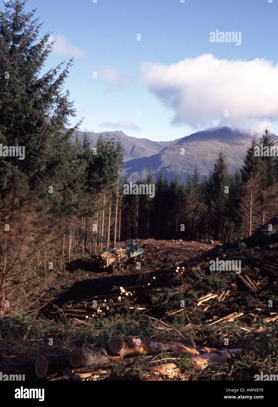 Scottish tree logging timber industry hi-res stock photography and ...