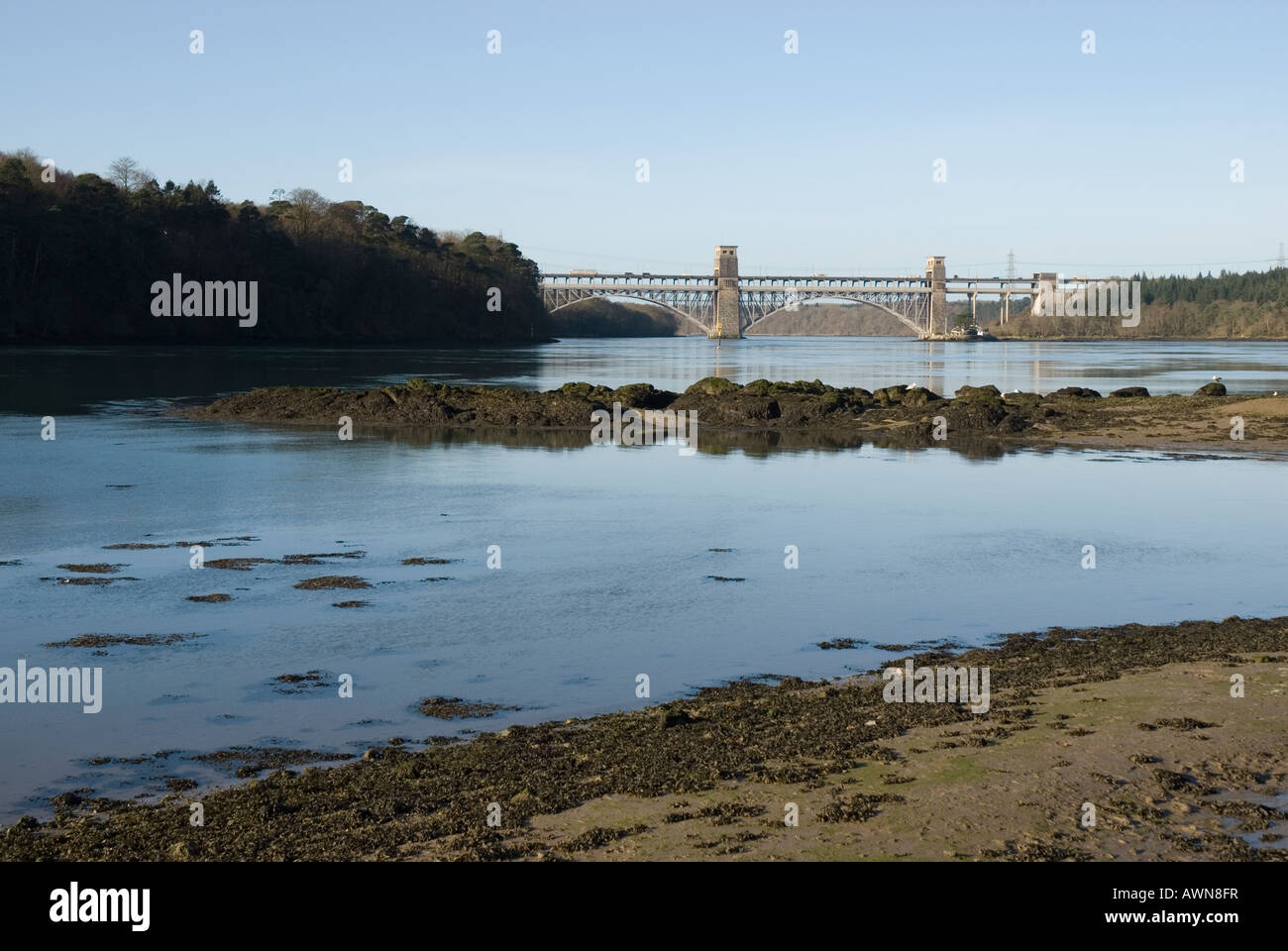 Britannia Bridge Menai Strait Anglesey North Wales Stock Photo - Alamy
