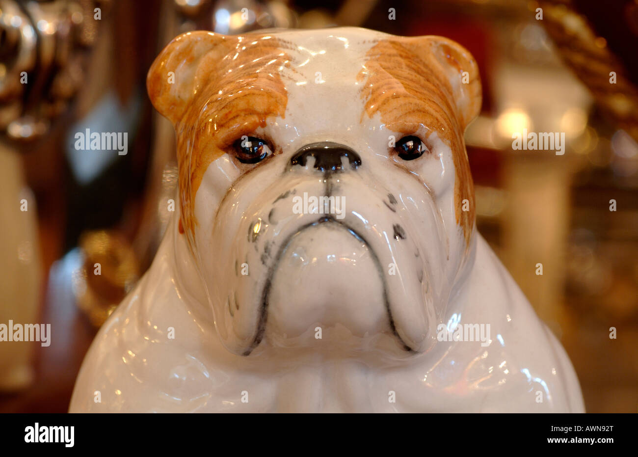 Bulldog porcelain figurine, detail shot Stock Photo - Alamy
