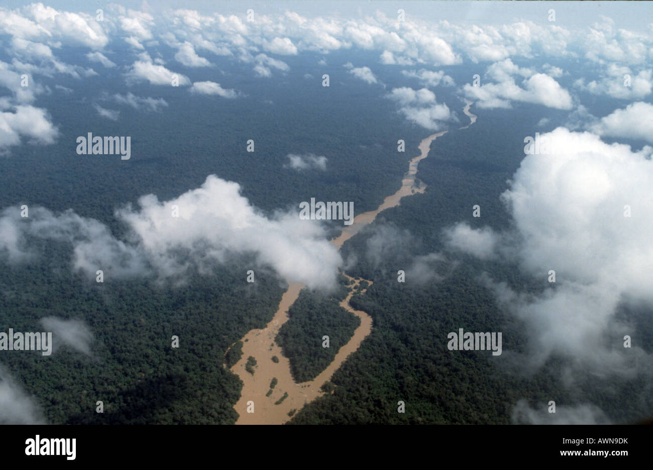 BRAZIL AERIAL VIEWS OF THE AMAZON RIVER NEAR MANAUS Photo Julio Etchart ...