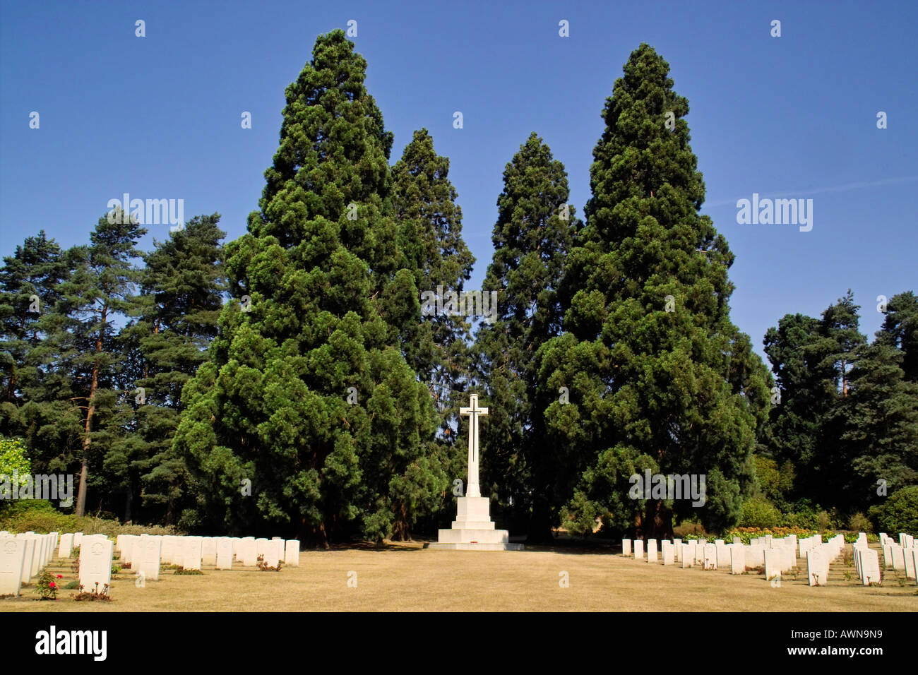 Memorial and War graves, Brookwood Cemetery, Surrey, UK Stock Photo - Alamy