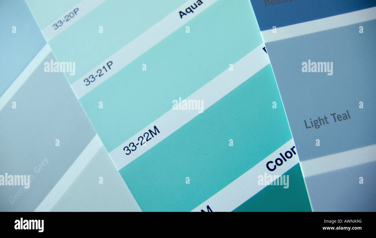 Cool Color Scheme Photography