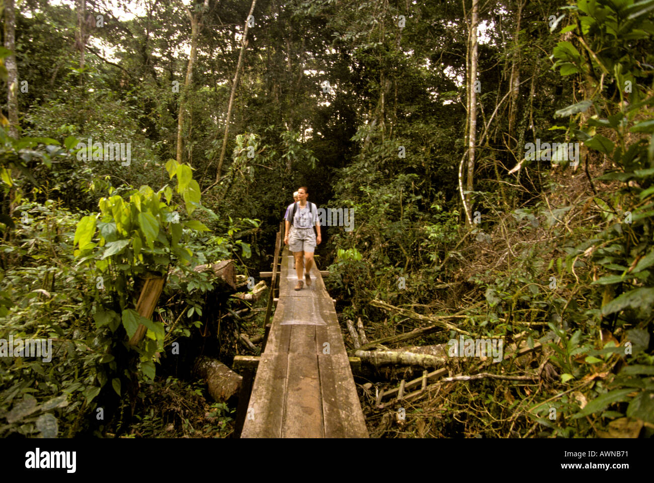 Amazon ecuador forest hi-res stock photography and images - Alamy