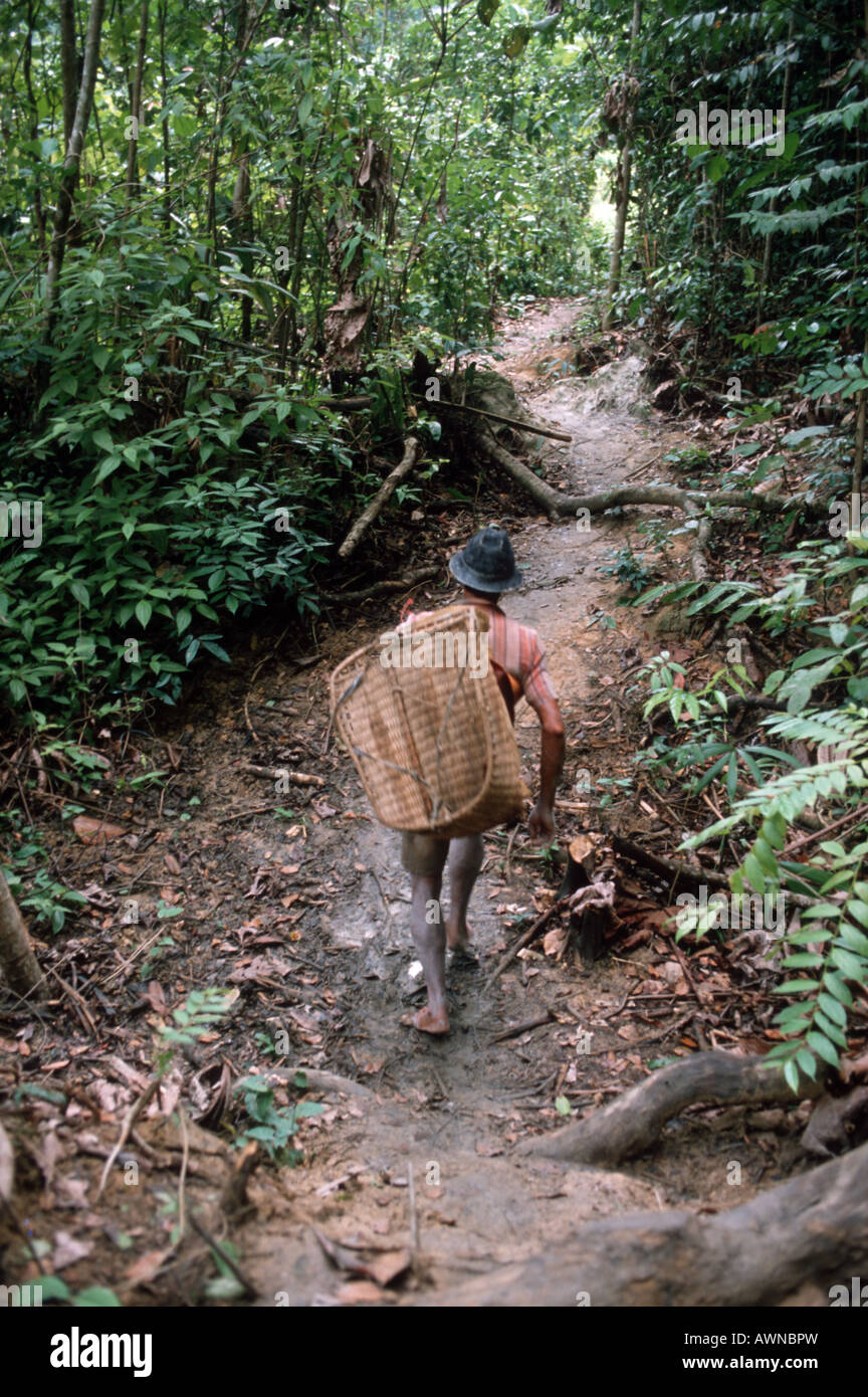 BRAZIL GOLD MINER IN THE RAIN FOREST RAIN FOREST AMAZON Photo Julio ...
