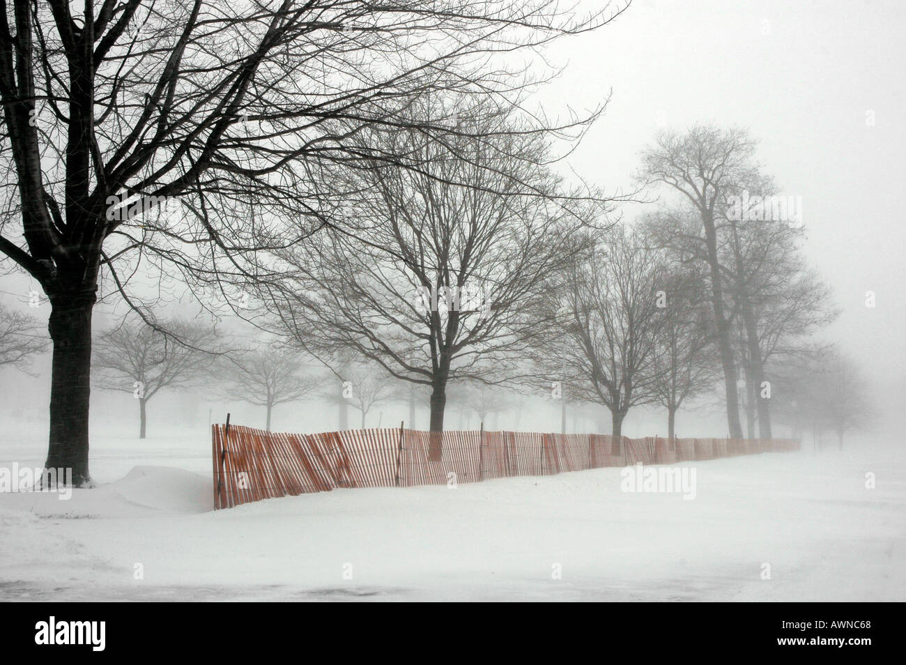 Blizzard snow conditions create a winter scenic along a snow fence in ...