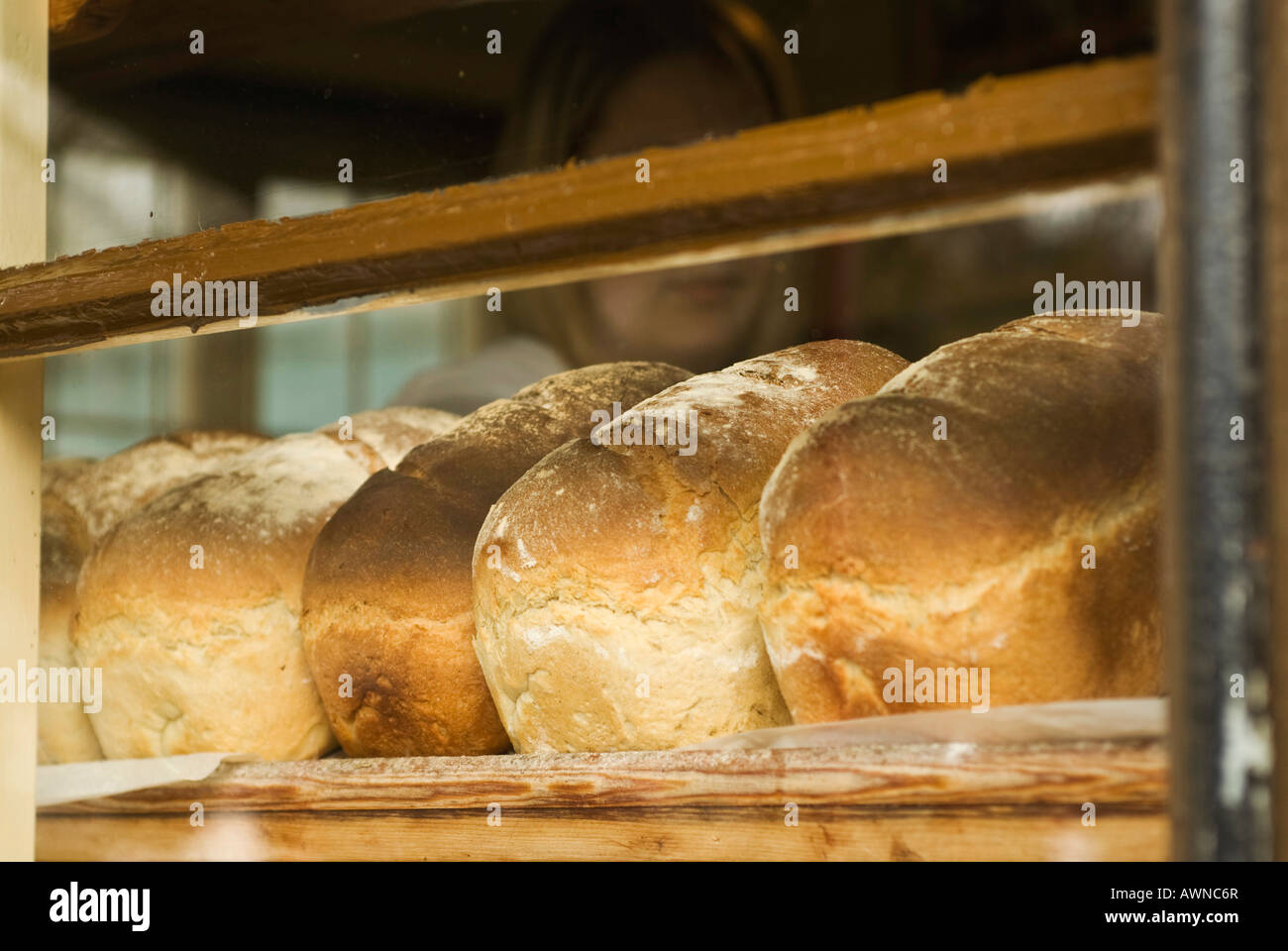 Crusty Loaves in the window of an Artisan Baker Stock Photo - Alamy