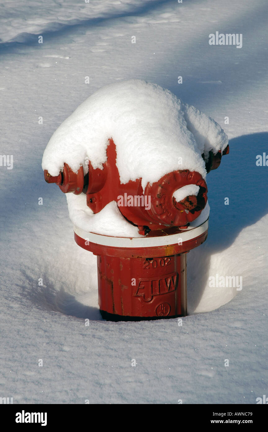 Fire Hydrant In A Snow Storm High Resolution Stock Photography and ...
