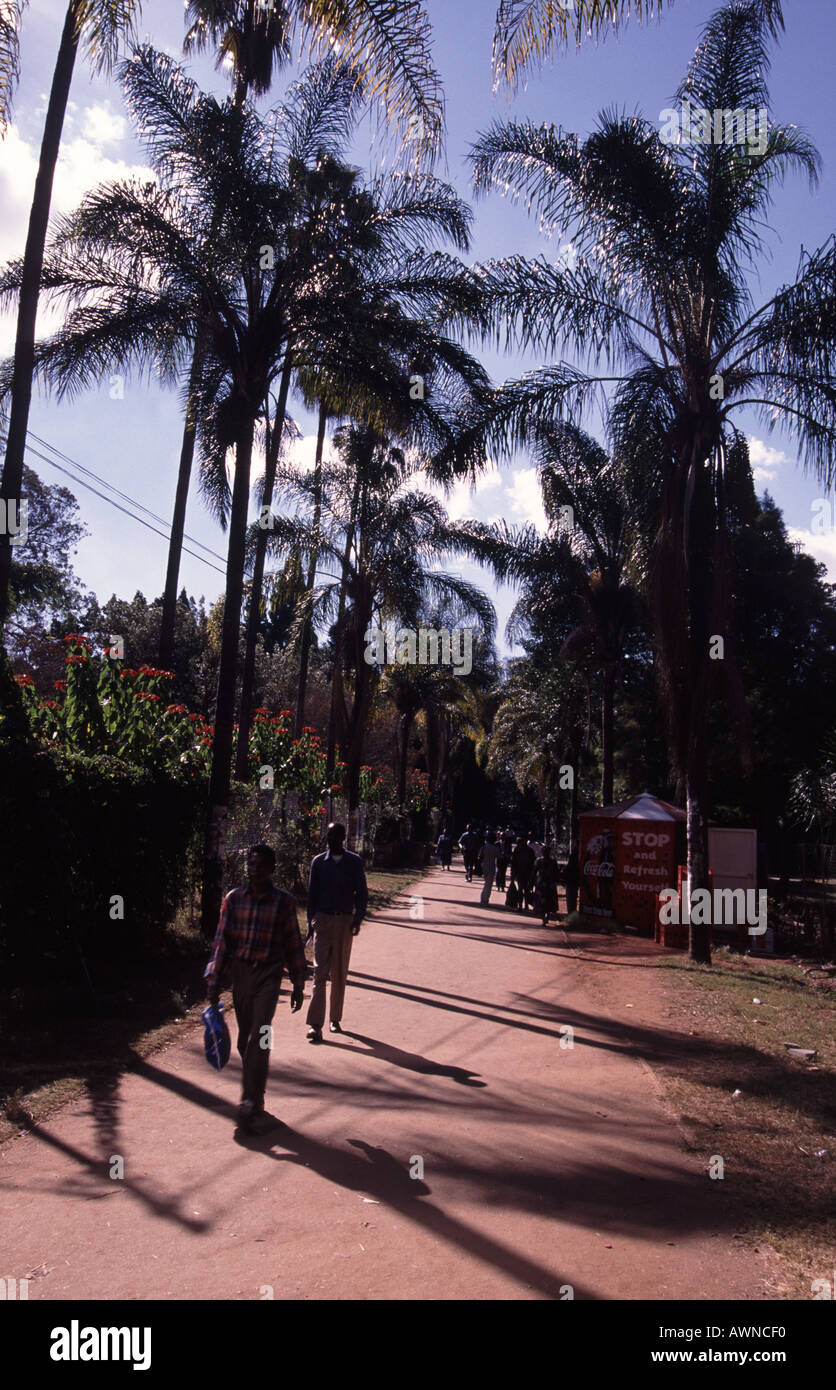 Harare streets hi-res stock photography and images - Alamy