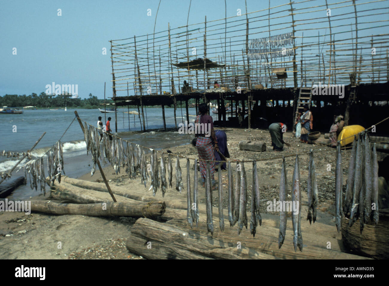 Koli fishermen hi-res stock photography and images - Alamy