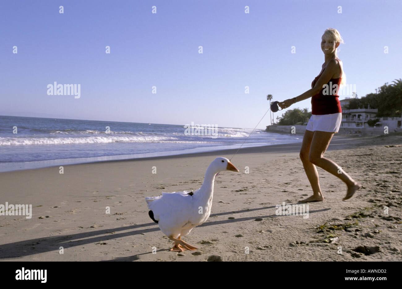 Wacky santa hi-res stock photography and images - Alamy