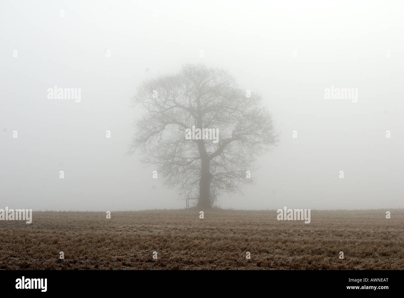 Strong landscape hi-res stock photography and images - Alamy