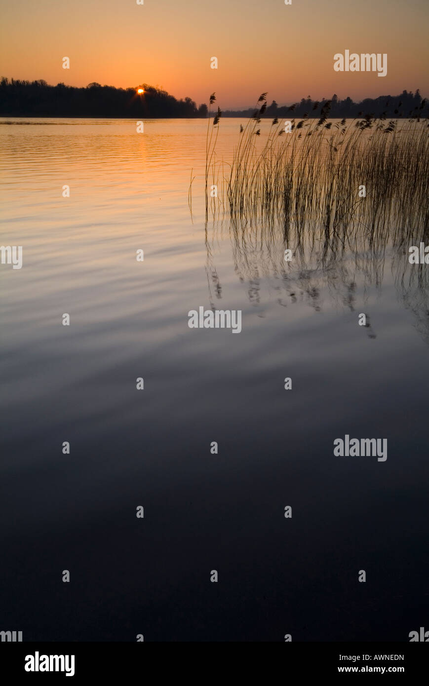 Landscape over reeds and lower lough erne lake county fermanagh ...
