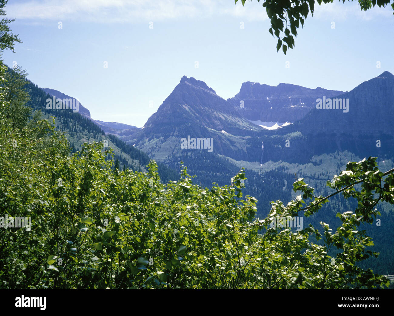 Logans Pass. Trees. Mountains Stock Photo - Alamy