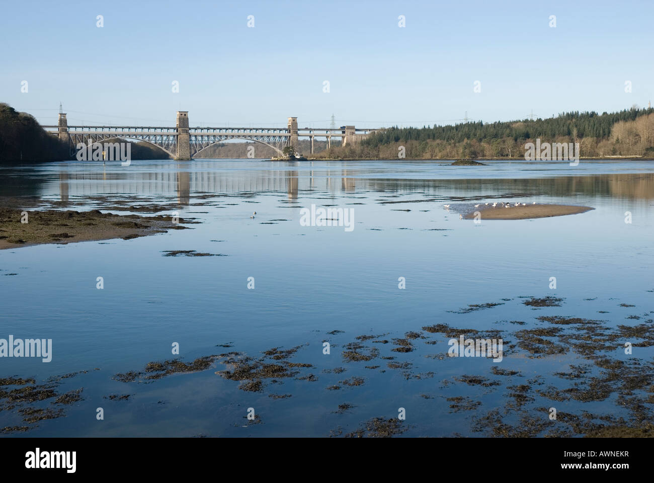 Britannia Bridge Menai Strait Anglesey North Wales Stock Photo - Alamy