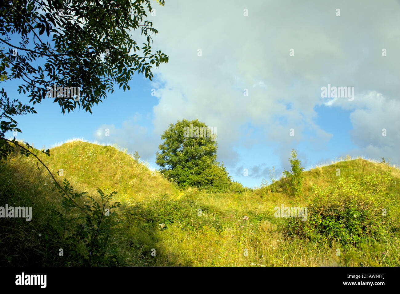 Defensive Earthworks on Ham Hill, Somerset, England Stock Photo - Alamy