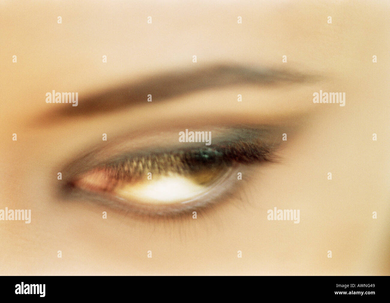 Woman's brown eye looking left, blurred close up Stock Photo - Alamy