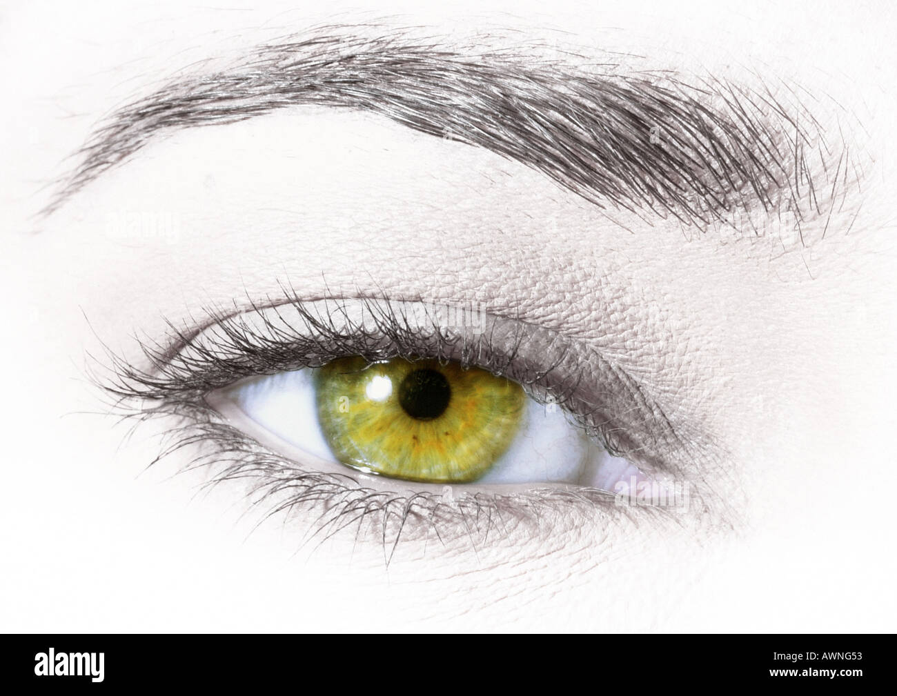 Pale eyelids Cut Out Stock Images & Pictures - Alamy
