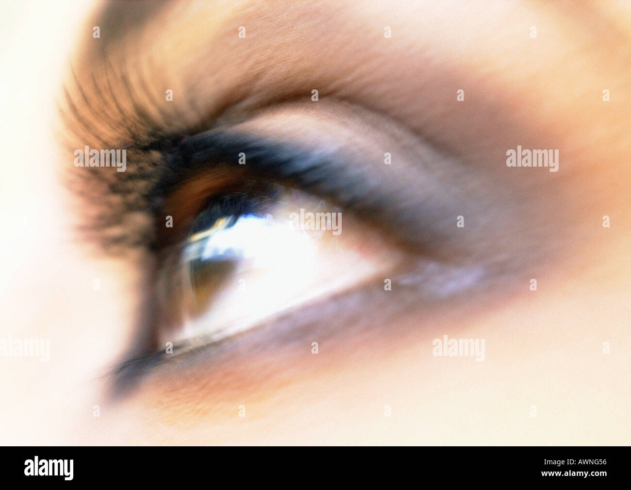 Woman's brown eye, side view, blurred Stock Photo - Alamy