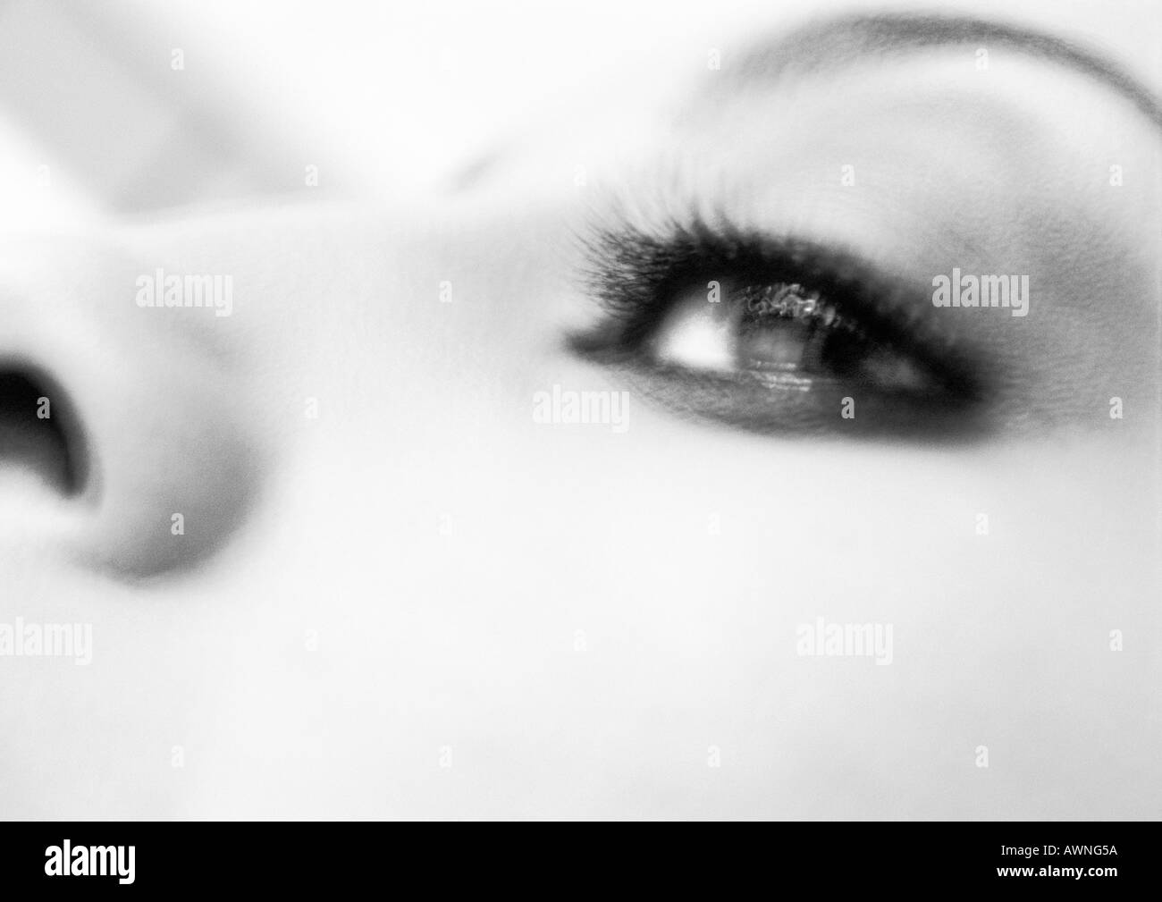 Looking up camera angle Black and White Stock Photos & Images - Alamy