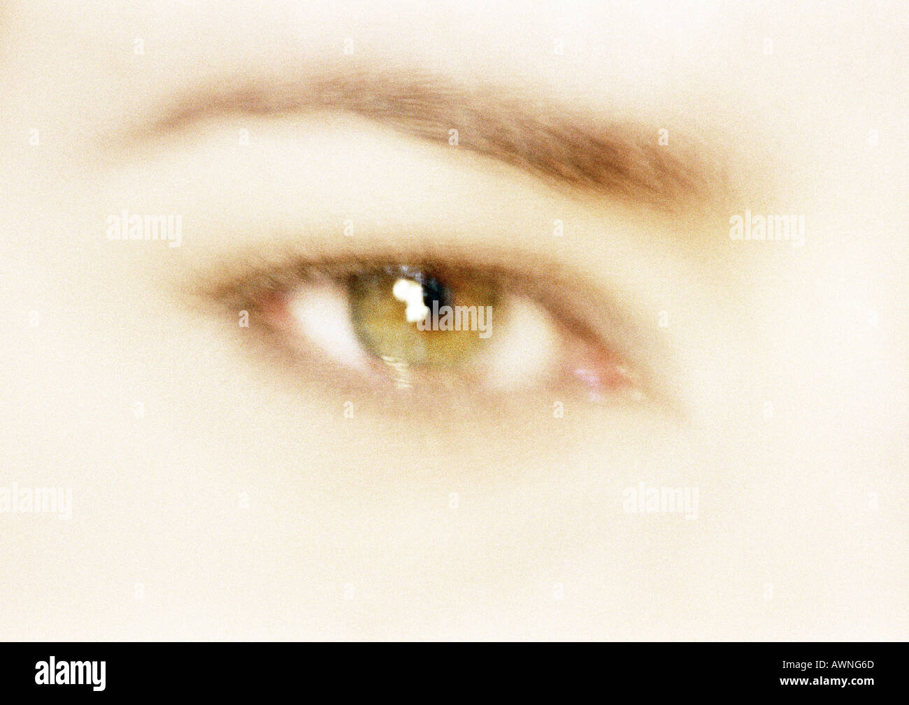 Green eyed woman iris hi-res stock photography and images - Alamy