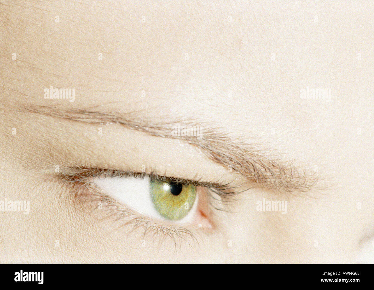 Extreme close up hazel eye hi-res stock photography and images - Alamy