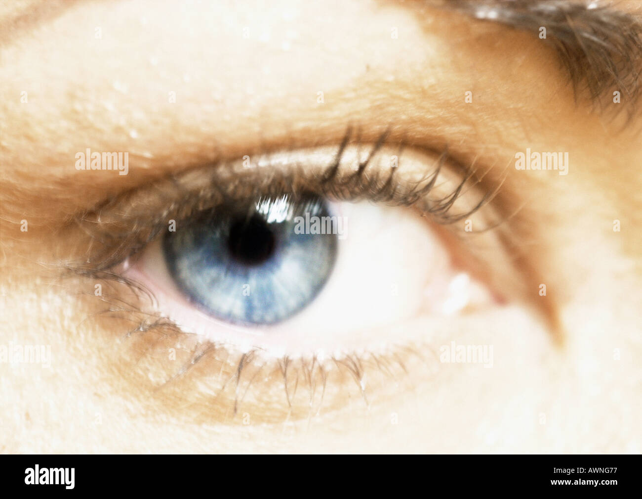 Woman's blue eye, front view, close-up Stock Photo - Alamy