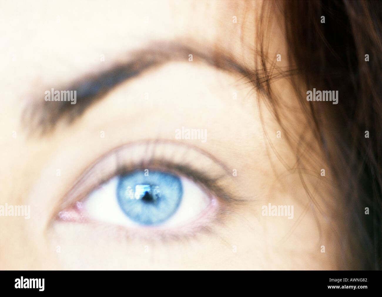 Raised brow hi-res stock photography and images - Alamy