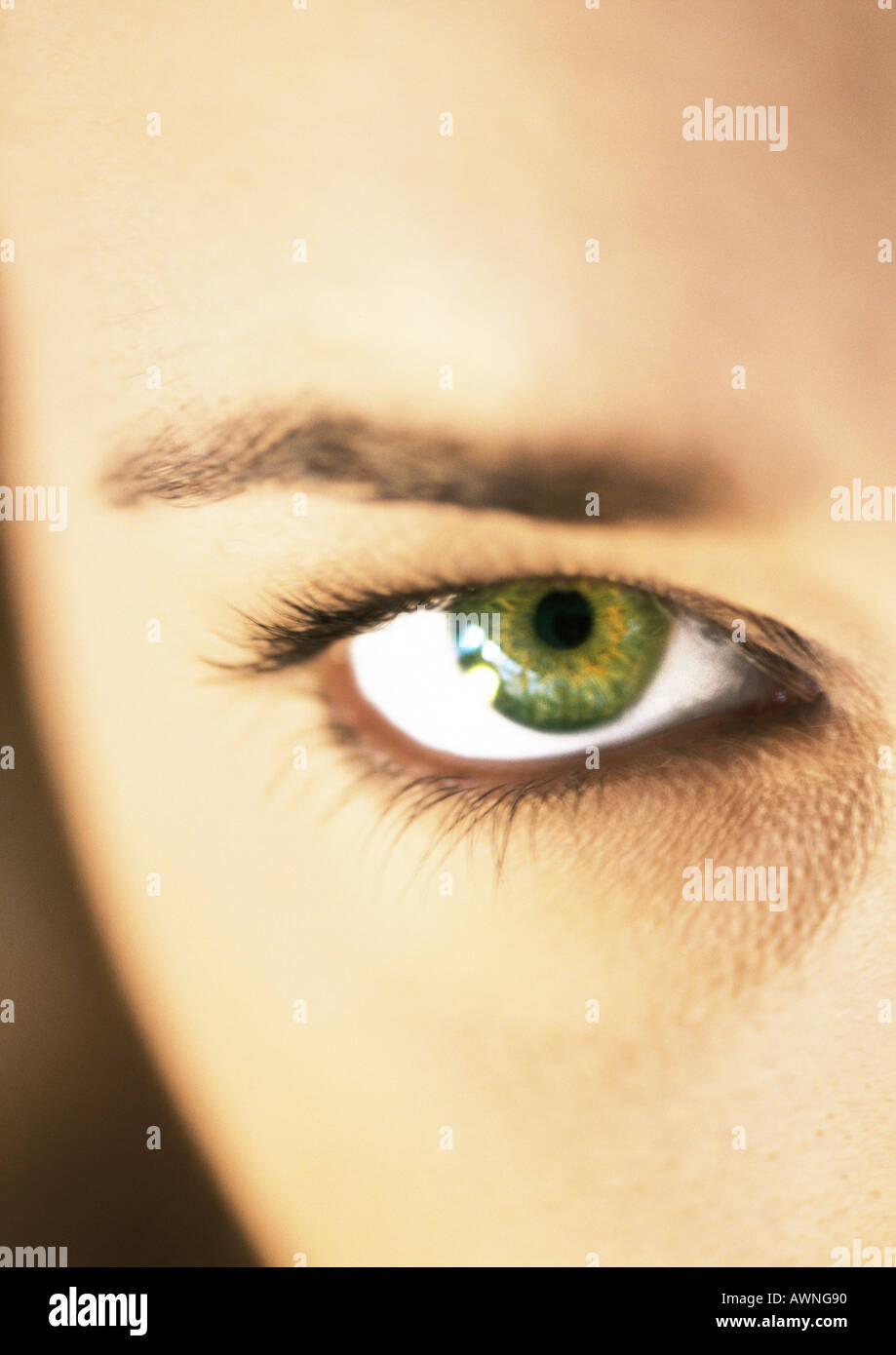 Green eyed woman iris hi-res stock photography and images - Alamy