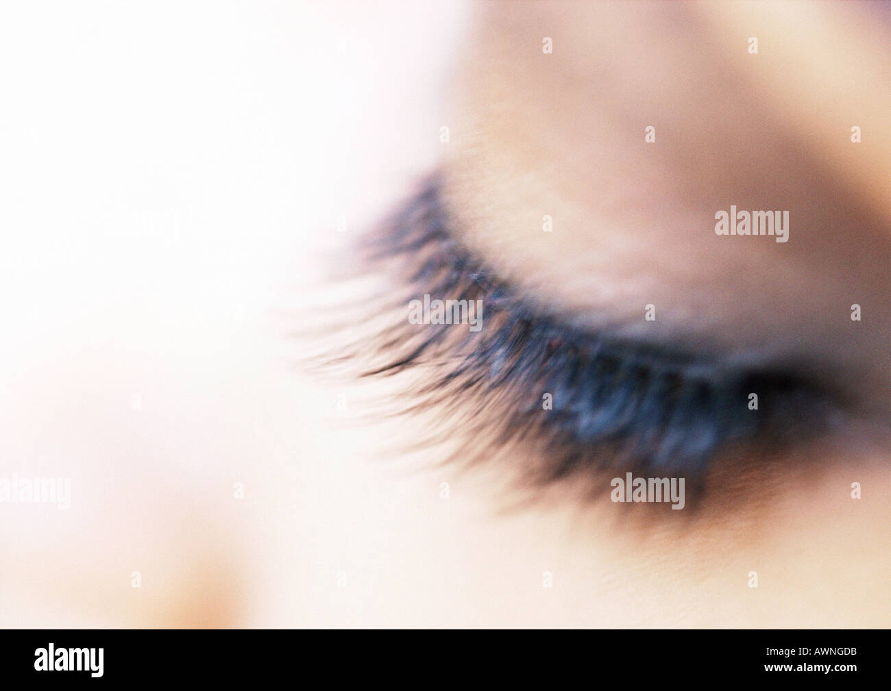 Woman's closed eye, extreme close-up Stock Photo - Alamy