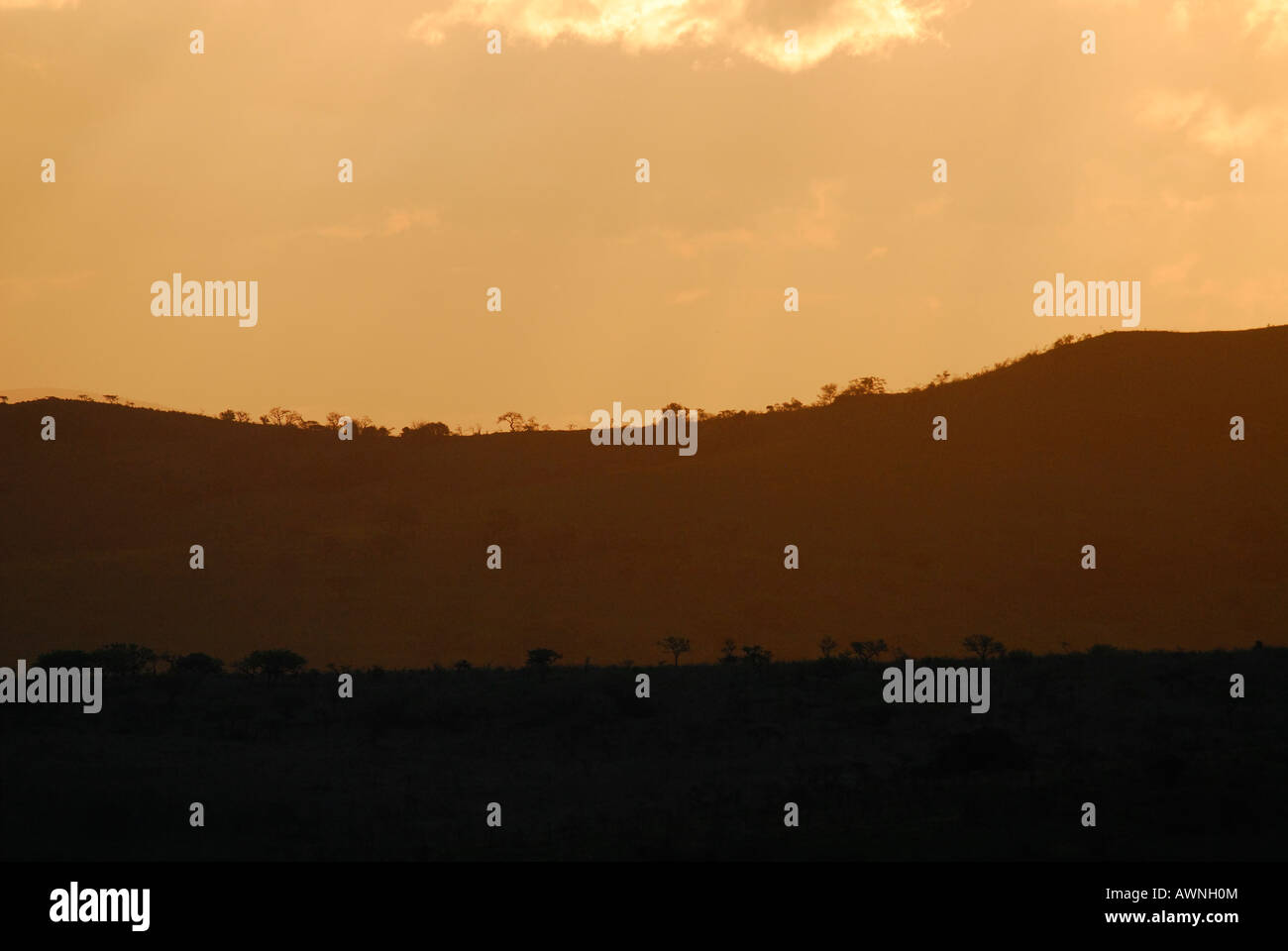 South Africa Hluhluwe Imfolozi Umfolozi Park Stock Photo - Alamy