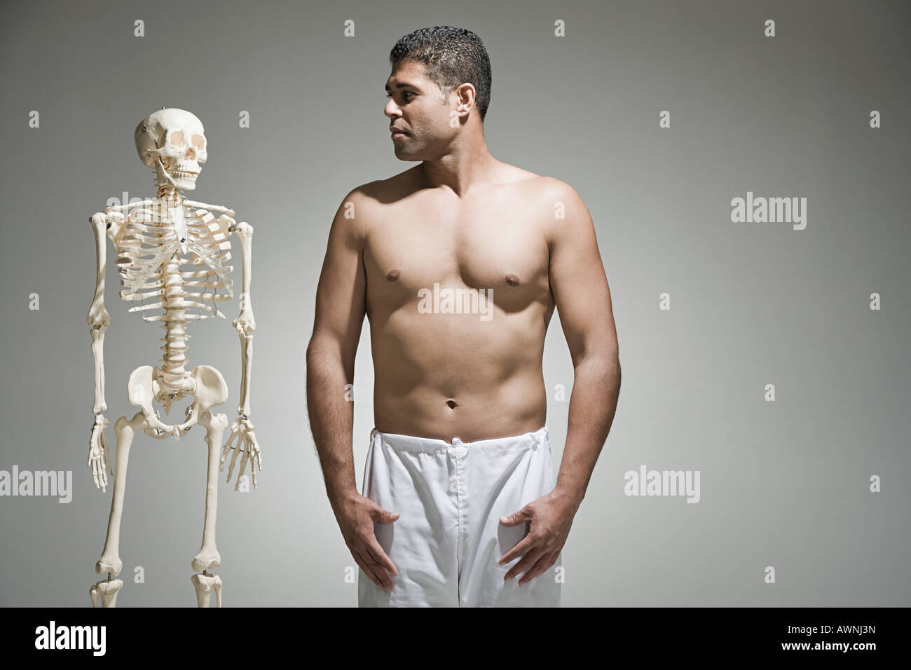 Male Skeleton Stock Photos & Male Skeleton Stock Images - Alamy